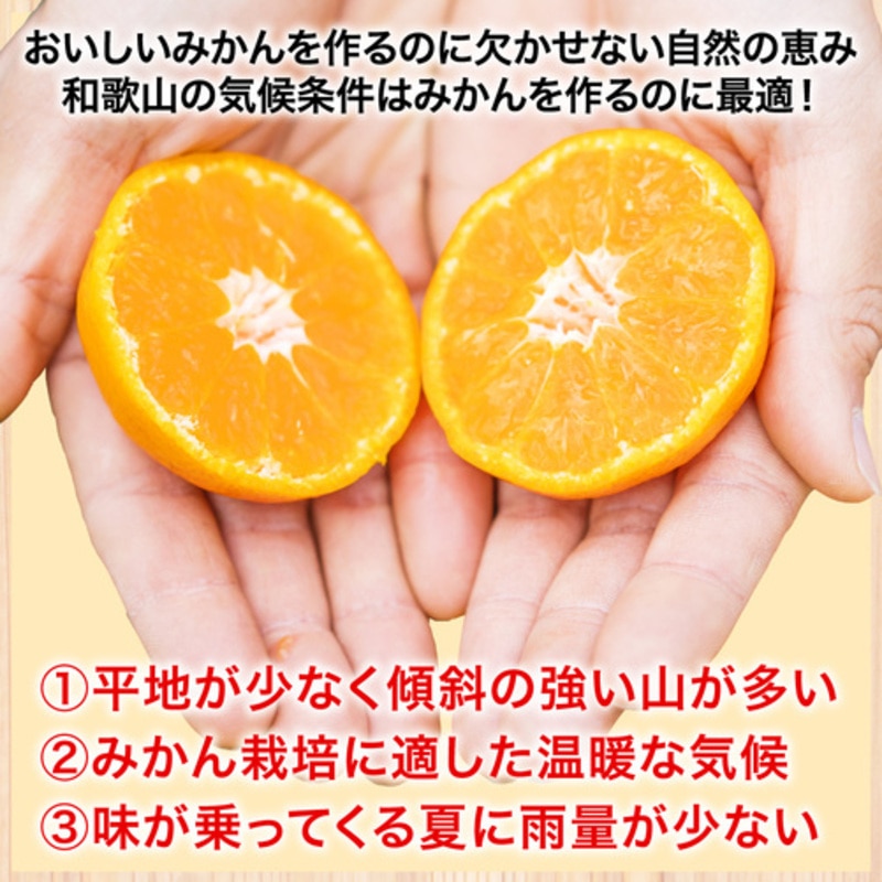 有田みかん 温州みかん 訳あり 2S～3Lサイズ ミックス 10kg｜郵便局のネットショップ